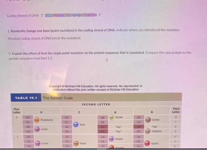 Solved Part 1: Transcribe a small fragment of DNA (3 pts) | Chegg.com
