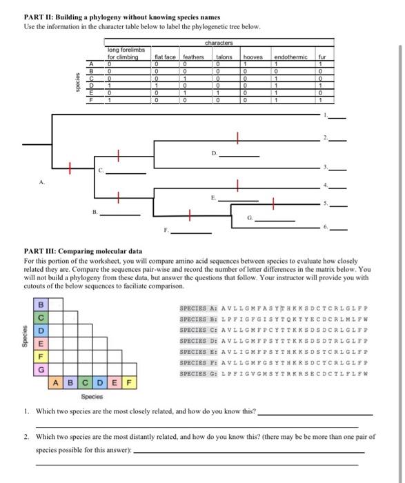 Solved Evolutionary Relationships & Phylogenies Worksheet | Chegg.com