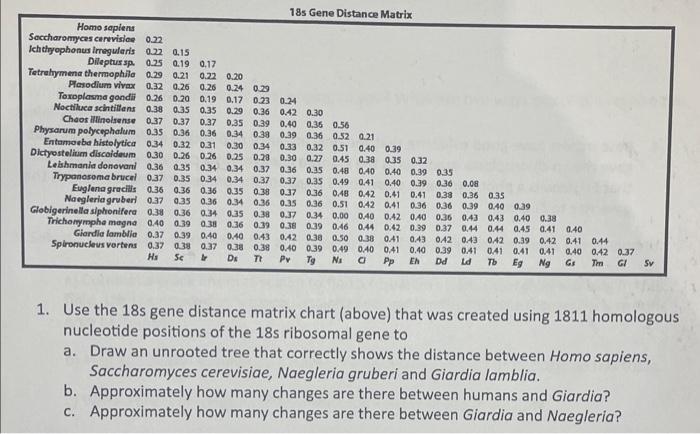 1. Use the 18 s gene distance matrix chart (above) | Chegg.com