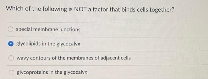 Solved Which of the following is NOT a factor that binds | Chegg.com