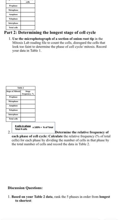 Part 2: Determining the longest stage of cell cycle | Chegg.com