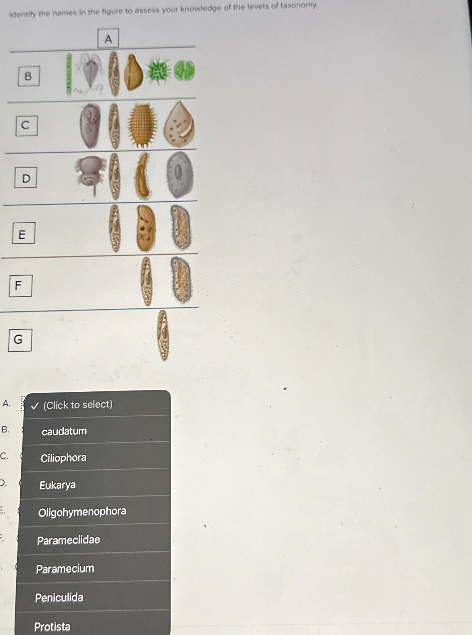 Solved Identify the names in the figure to assess your | Chegg.com