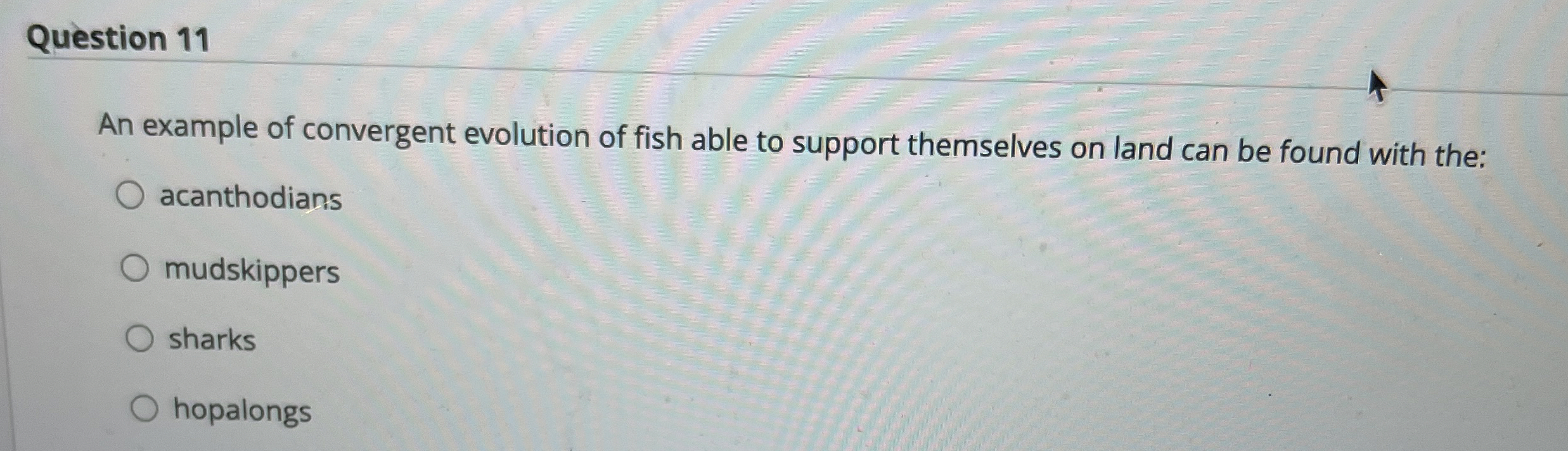 Solved Question 11An example of convergent evolution of fish | Chegg.com