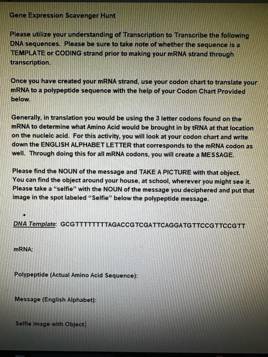 Solved Gene Expression Scavenger Hunt Please utilize your | Chegg.com