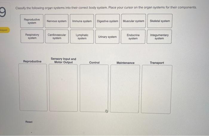 Solved Classify the following organ systems into their | Chegg.com
