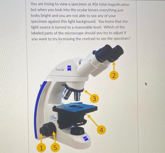Solved You are trying to view a specimen at 40x total | Chegg.com