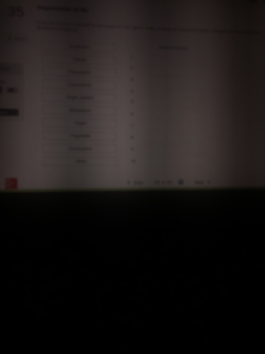 Solved Help Save & Exit Sub Drag the word or description on | Chegg.com