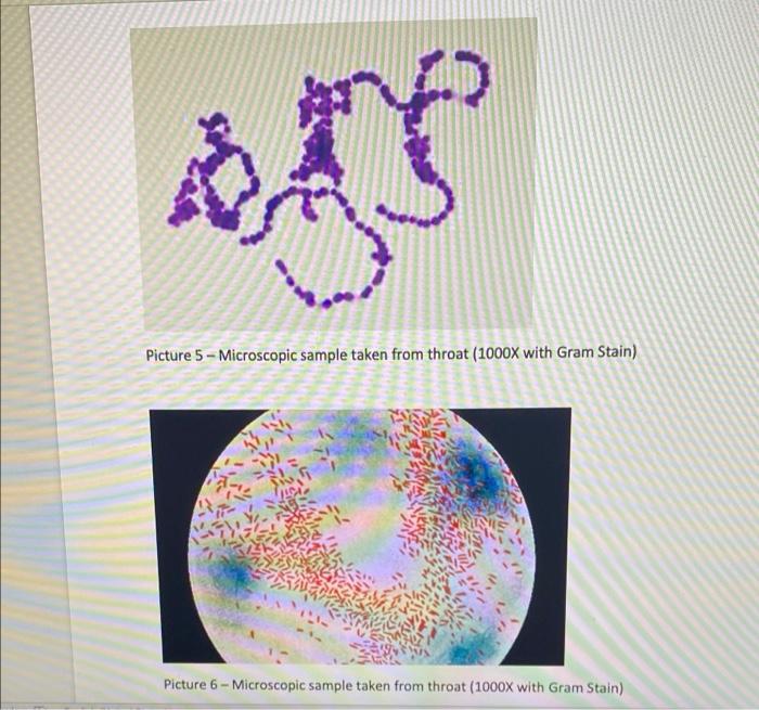 ign UBIQUITY LAB EXERCISE: Picture 1 - Looking down | Chegg.com