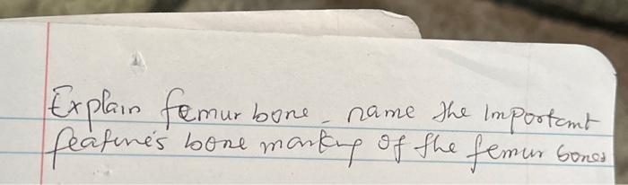 Solved Explain femur bone, name the important feature bone | Chegg.com