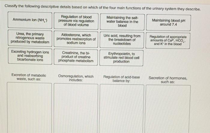 Solved Classify the following descriptive details based on | Chegg.com