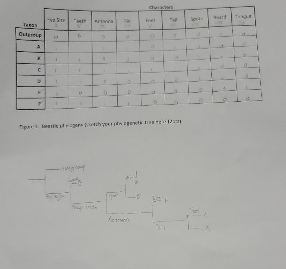 Solved Figure 1. Beastie phylogeny (sketch your phylogenetic | Chegg.com