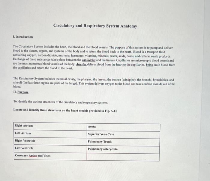 Solved Circulatory and Respiratory System Anatomy 1. | Chegg.com