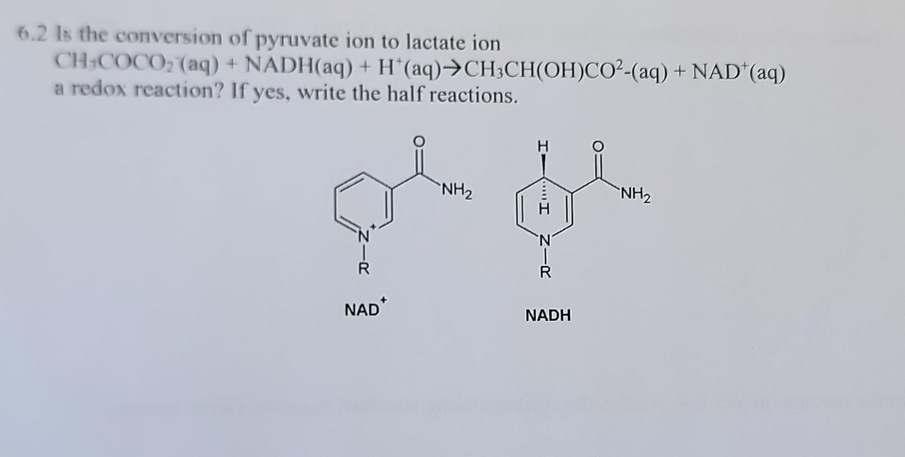 Solved 4.2 Is the conversion of pyruvate ion to lactate ion | Chegg.com