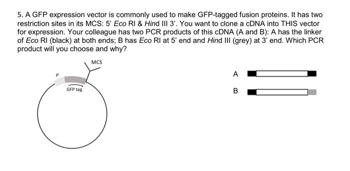 Solved A GFP expression vector is commonly used to make | Chegg.com
