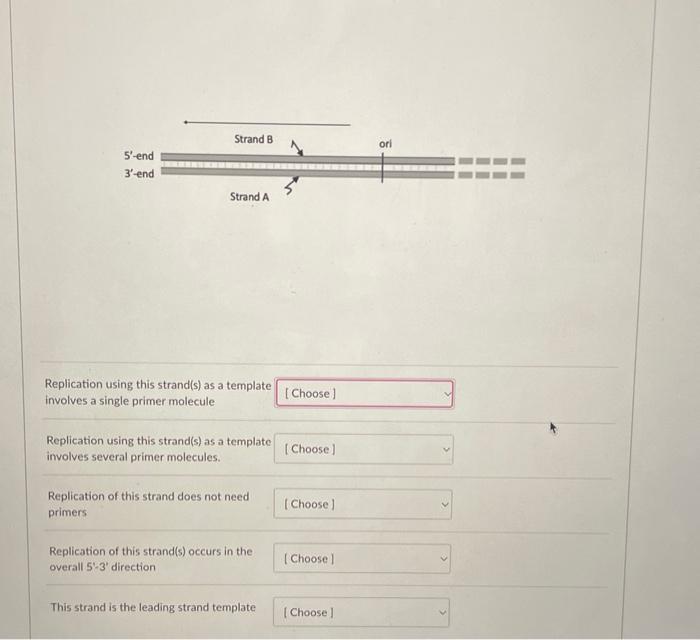 Solved Replication using this strand(s) as a template | Chegg.com