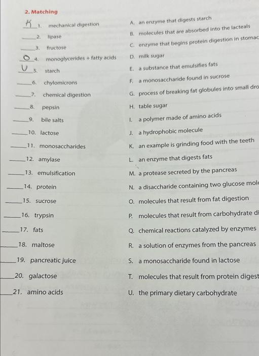 Solved 2. Matching K 1. mechanical digestion 2. lipase 3. | Chegg.com