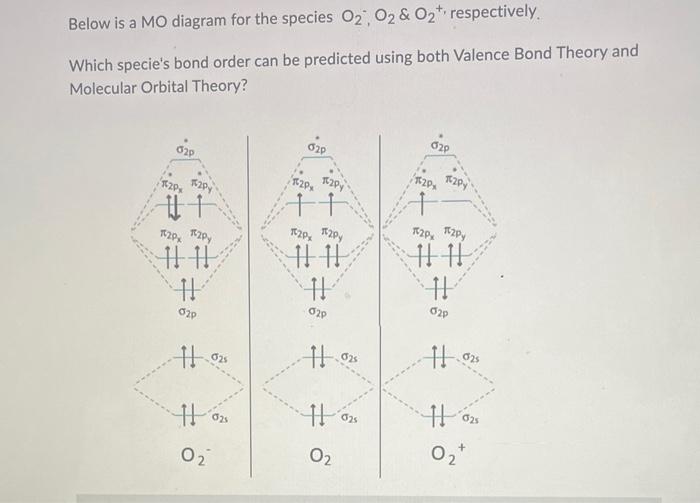 Solved Below is a MO diagram for the species O2,O2&O2+, | Chegg.com