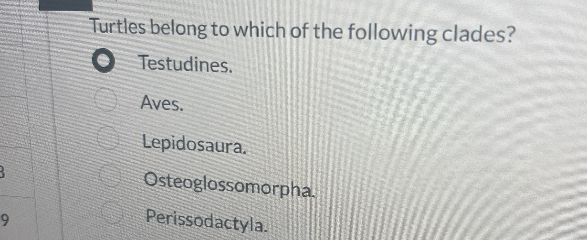 Solved Turtles belong to which of the following | Chegg.com