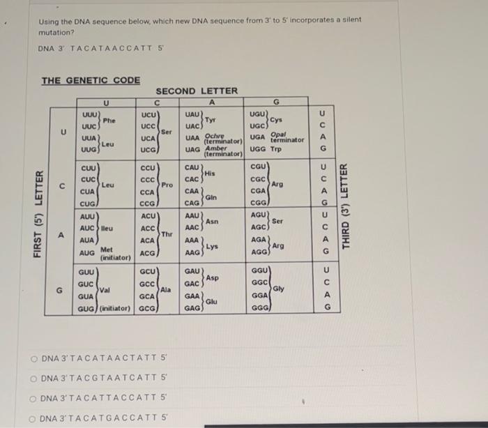 Solved Using the DNA sequence below, which new DNA sequence | Chegg.com