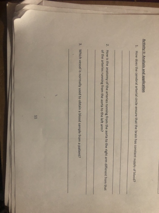 Solved Anatomy and Physiology l Name Lab Handout #5 Veins | Chegg.com