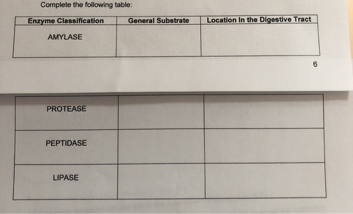 Solved Complete the following table: Enzyme Classification | Chegg.com