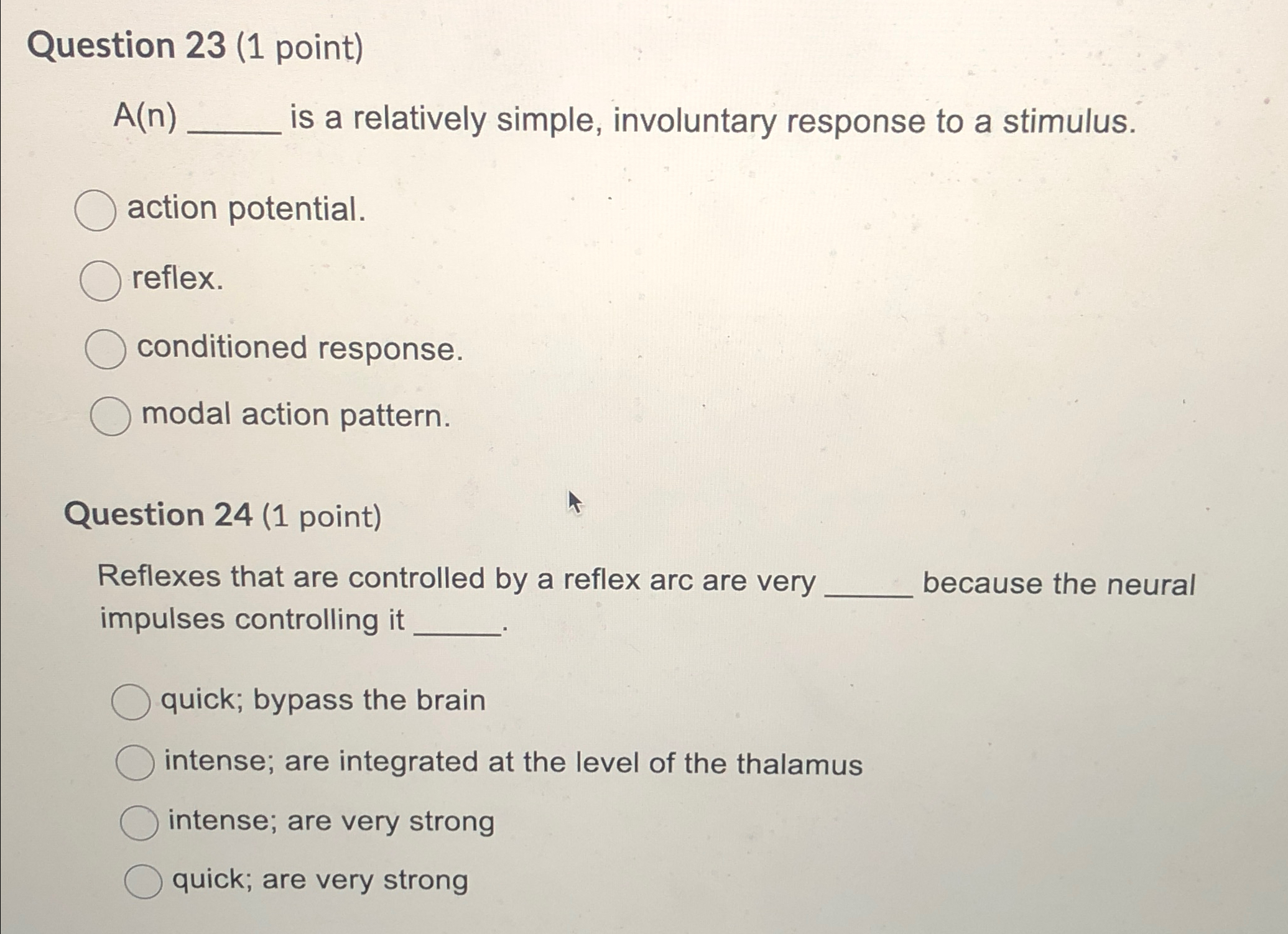 Solved Question 23 (1 ﻿point)A(n) ﻿is a relatively simple, | Chegg.com