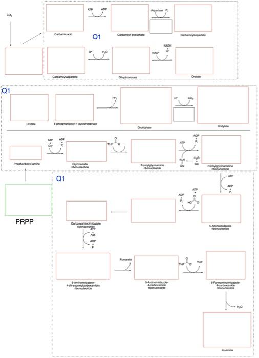Q1 cosenof prophen canopeneren | Chegg.com