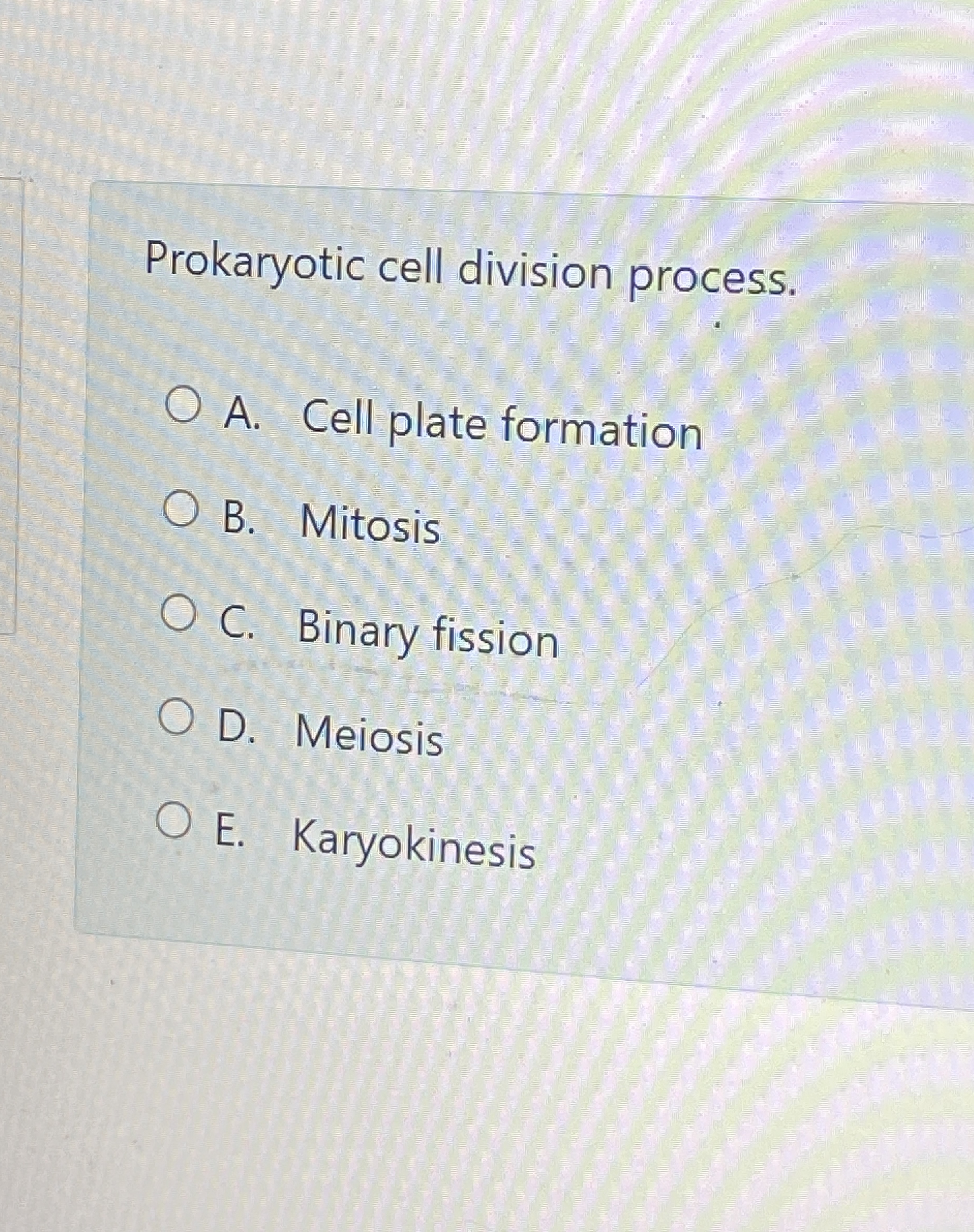 Solved Prokaryotic cell division process.A. ﻿Cell plate | Chegg.com