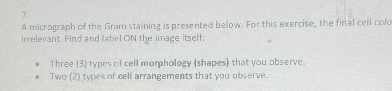 Solved A micrograph of the Gram staining is presented below. | Chegg.com
