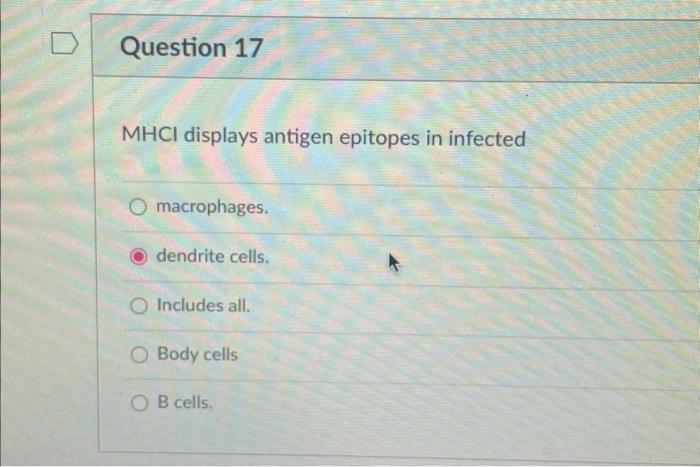 Solved MHCl displays antigen epitopes in infected | Chegg.com