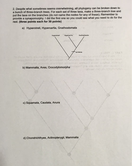 Solved 2. Despite what sometimes seems overwhelming, all | Chegg.com