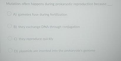Solved Mutation often happens during prokaryotic | Chegg.com