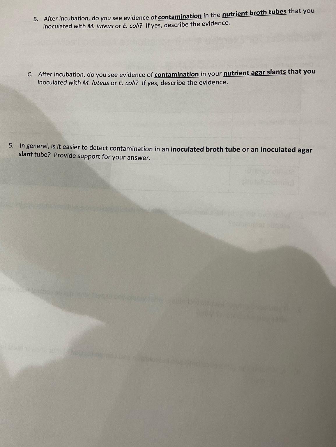Solved B. ﻿After incubation, do you see evidence of | Chegg.com