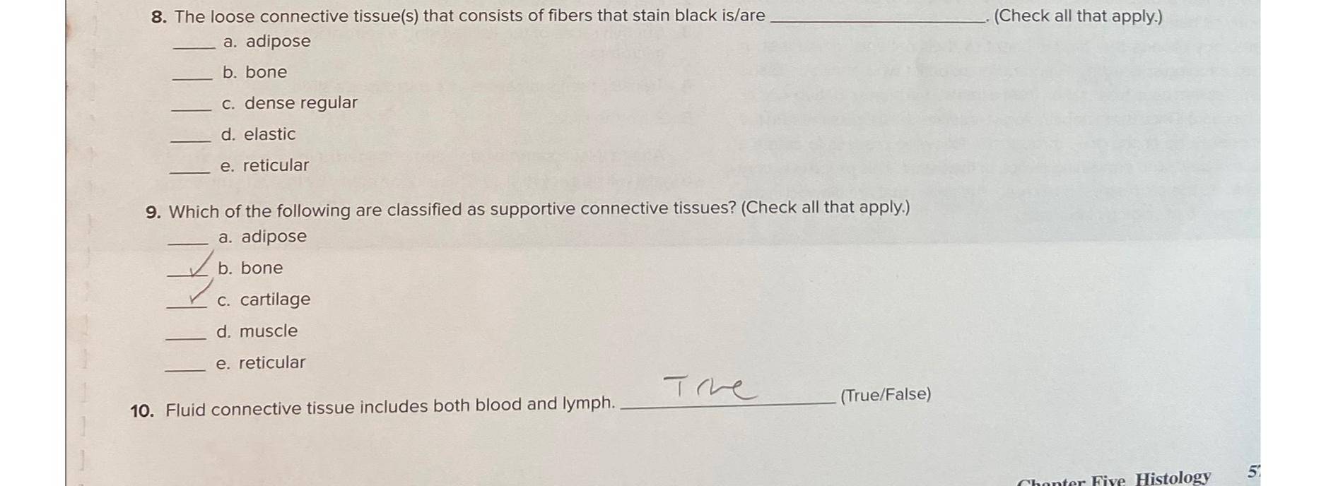 Solved The loose connective tissue(s) ﻿that consists of | Chegg.com