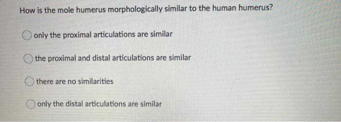 Solved How is the mole humerus (left) morphologically | Chegg.com