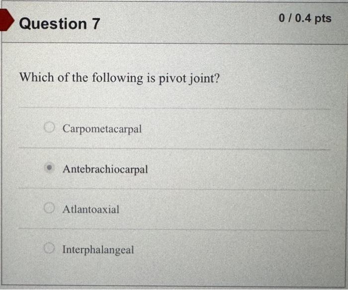 Solved Which of the following is pivot joint? | Chegg.com