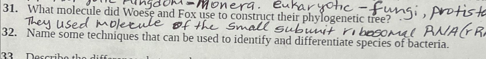 Solved What molecule did Woese and Fox use to construct | Chegg.com