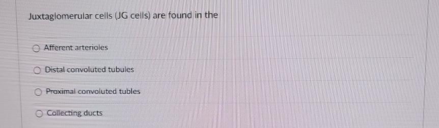 Solved Juxtaglomerular cells (JG cells) ﻿are found in | Chegg.com