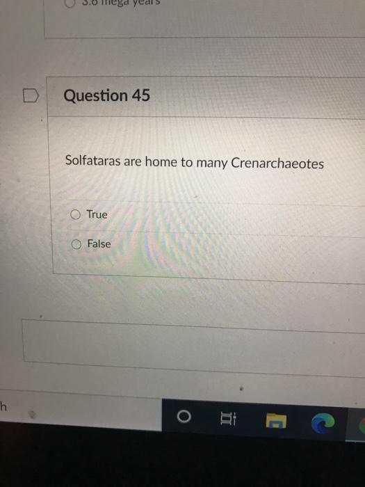 Solved Question 45 Solfataras are home to many | Chegg.com