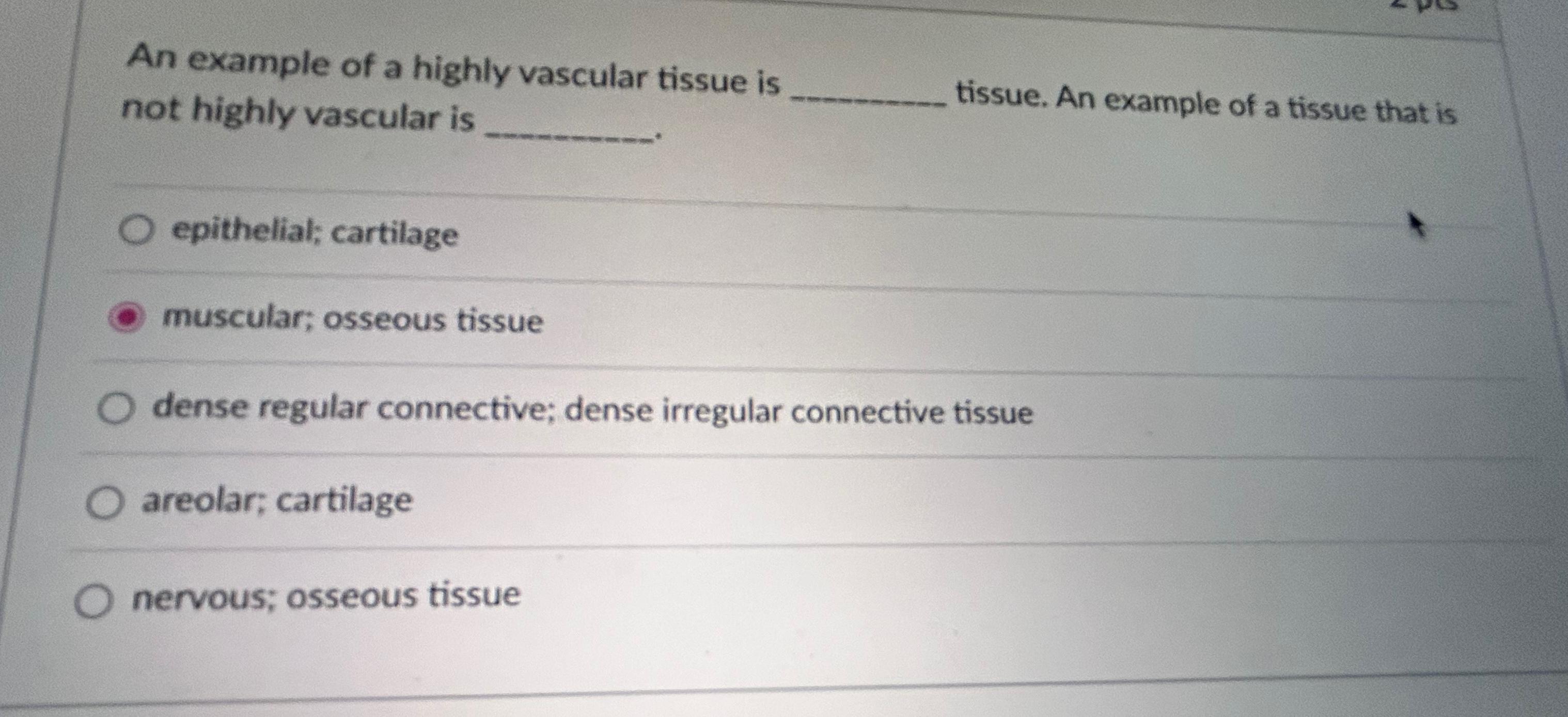 Solved An example of a highly vascular tissue is not highly | Chegg.com