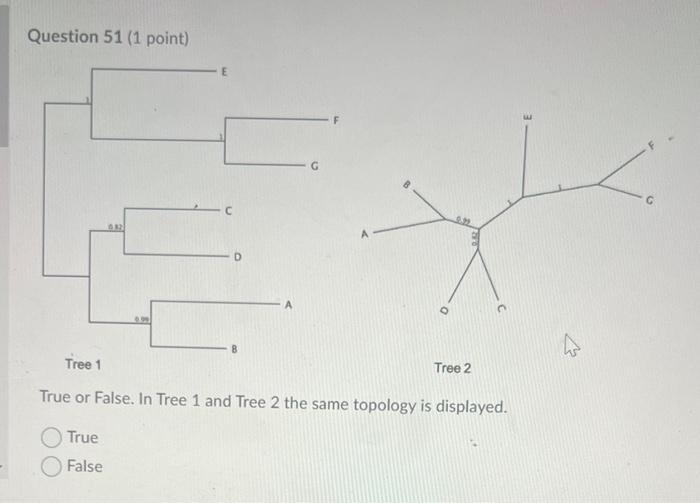 Solved Question 51 (1 point) Tree 2 True or False. In Tree 1 | Chegg.com