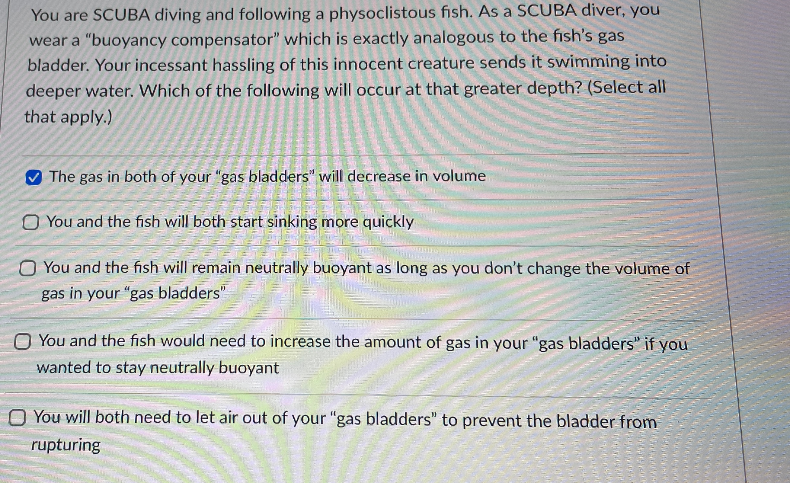 Solved You are SCUBA diving and following a physoclistous | Chegg.com
