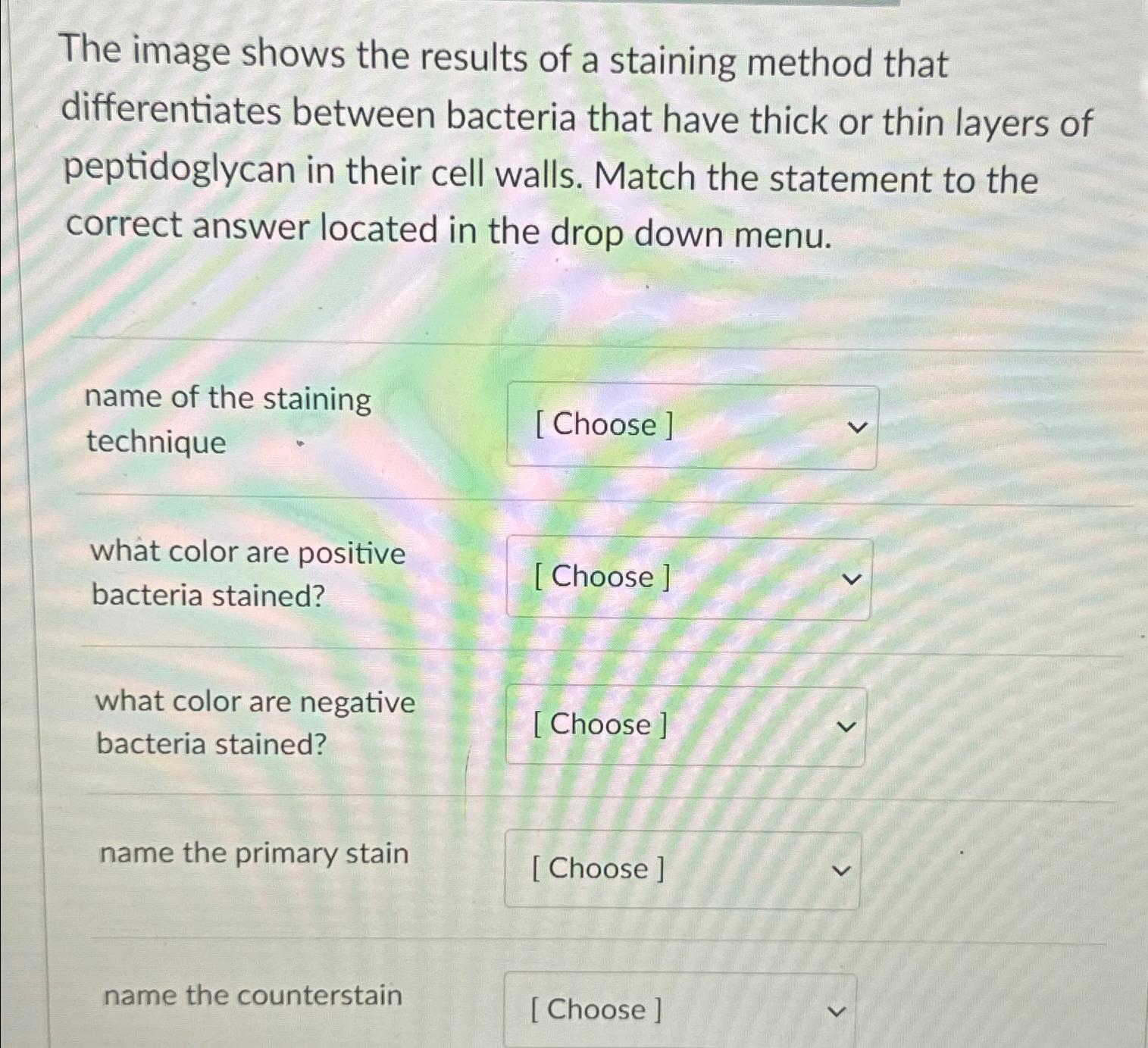 Solved The image shows the results of a staining method that | Chegg.com