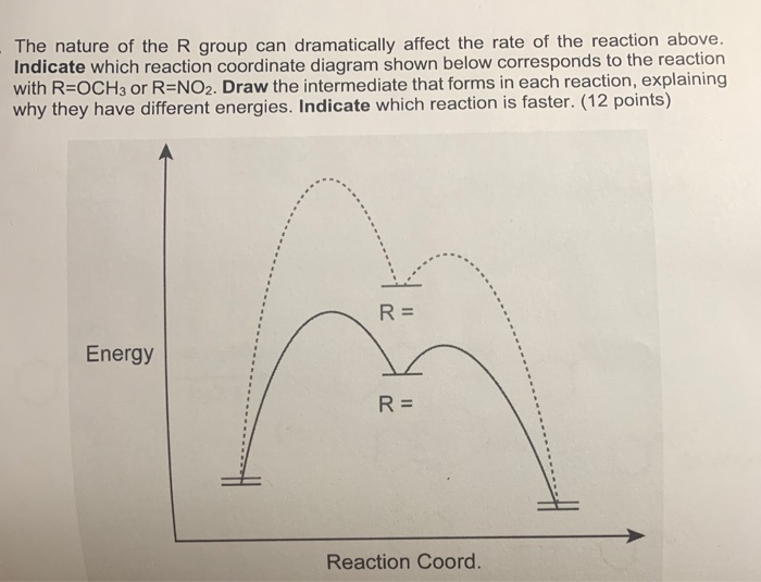 Solved The nature of the R group can dramatically affect the | Chegg.com