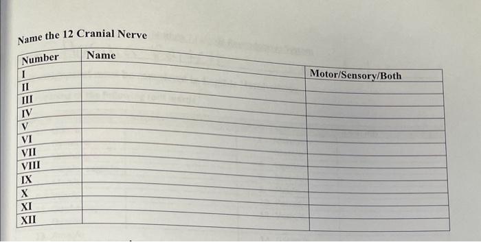 Solved Name the 12 Cranial Nerve | Chegg.com