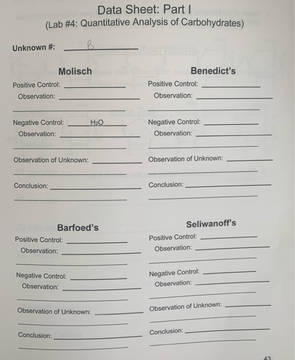 Solved Data Sheet: Part I (Lab #4: Quantitative Analysis of | Chegg.com