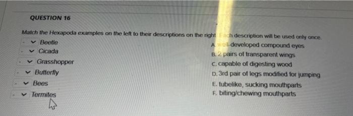 Solved Match the Hexapoda examples on the left to their | Chegg.com
