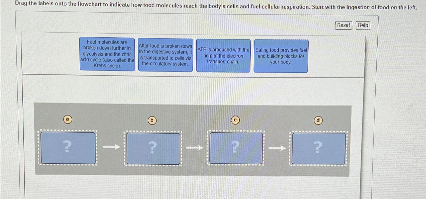 Solved Drag the labels onto the flowchart to indicate how | Chegg.com