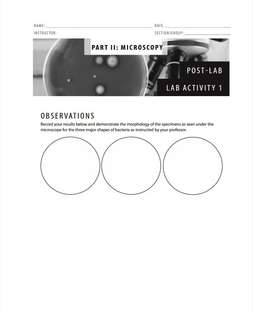Solved NAME: INSTRUCTOR: DATE SECTION/GROUP: PART II: | Chegg.com