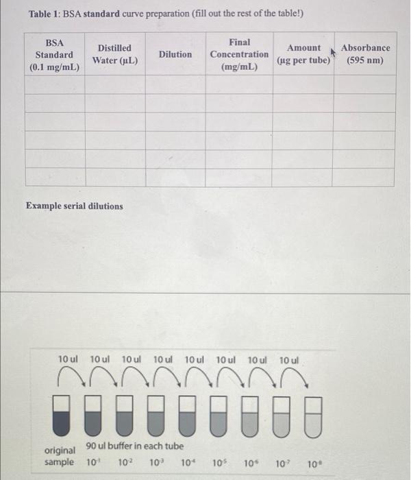 Table 1: BSA standard curve preparation (fill out the | Chegg.com